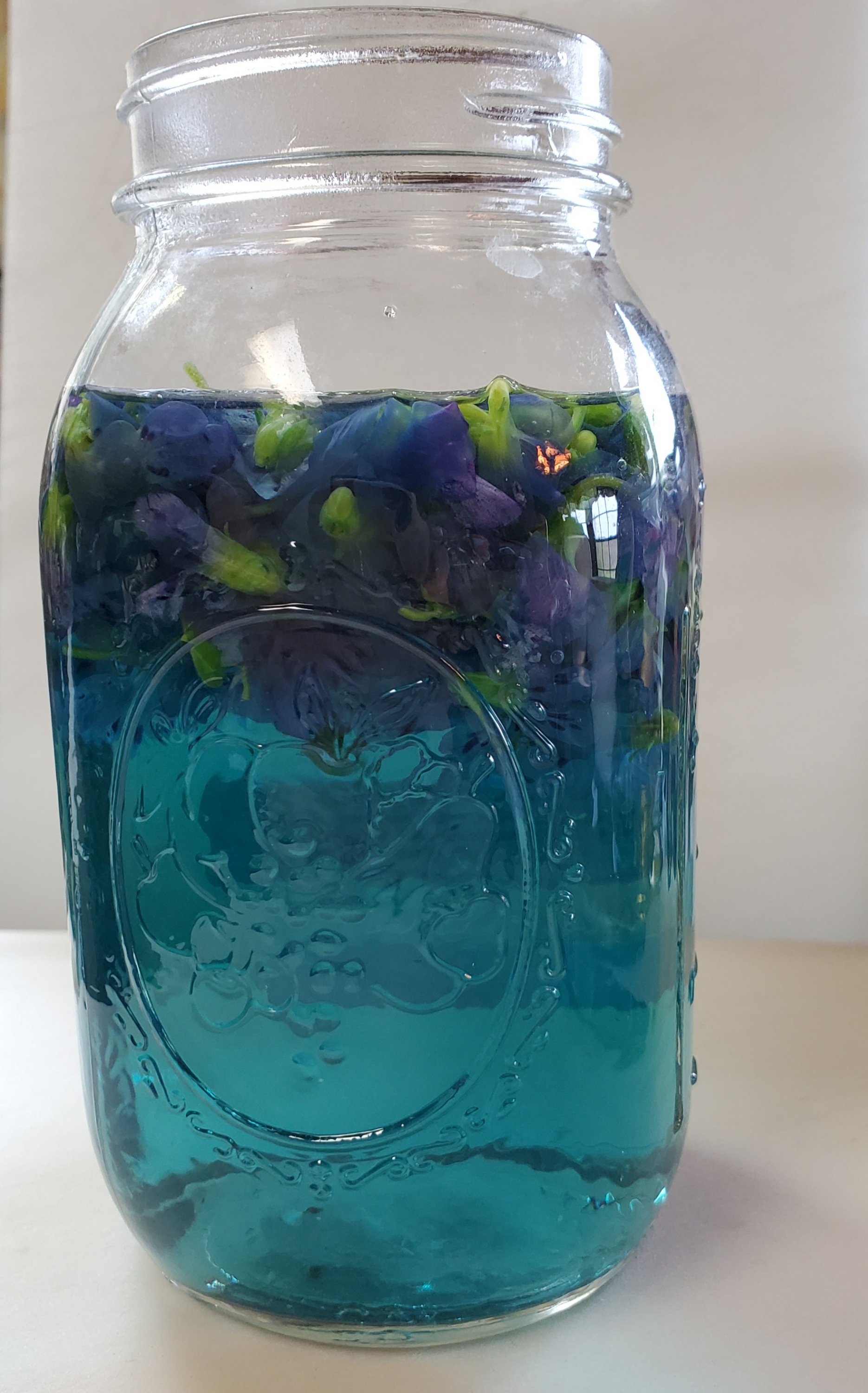 Violets and the beginning of an artistic journey into natural color ...