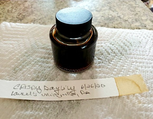 First Ink – Leah's Notes on Ink and Art